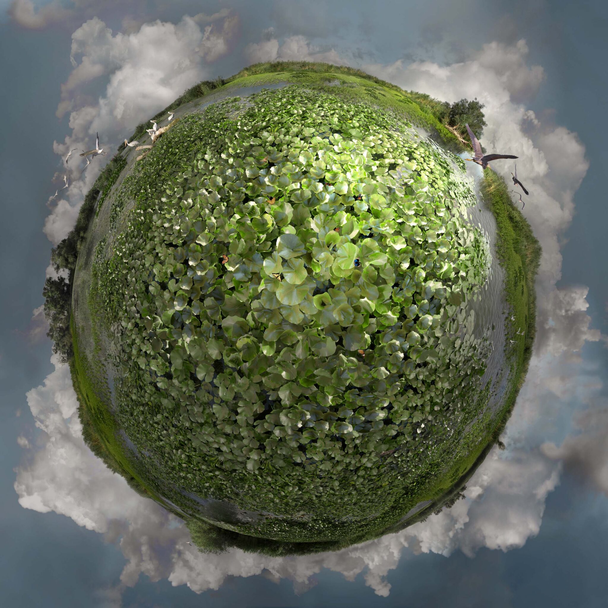 Catherine Nelson - Artist - at Michael Reid Gallery