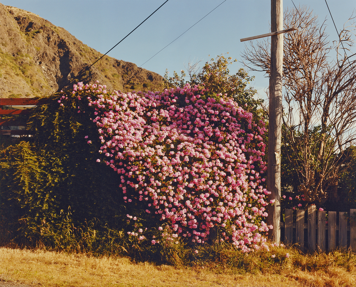 Derek Henderson - Artist - at Michael Reid Gallery