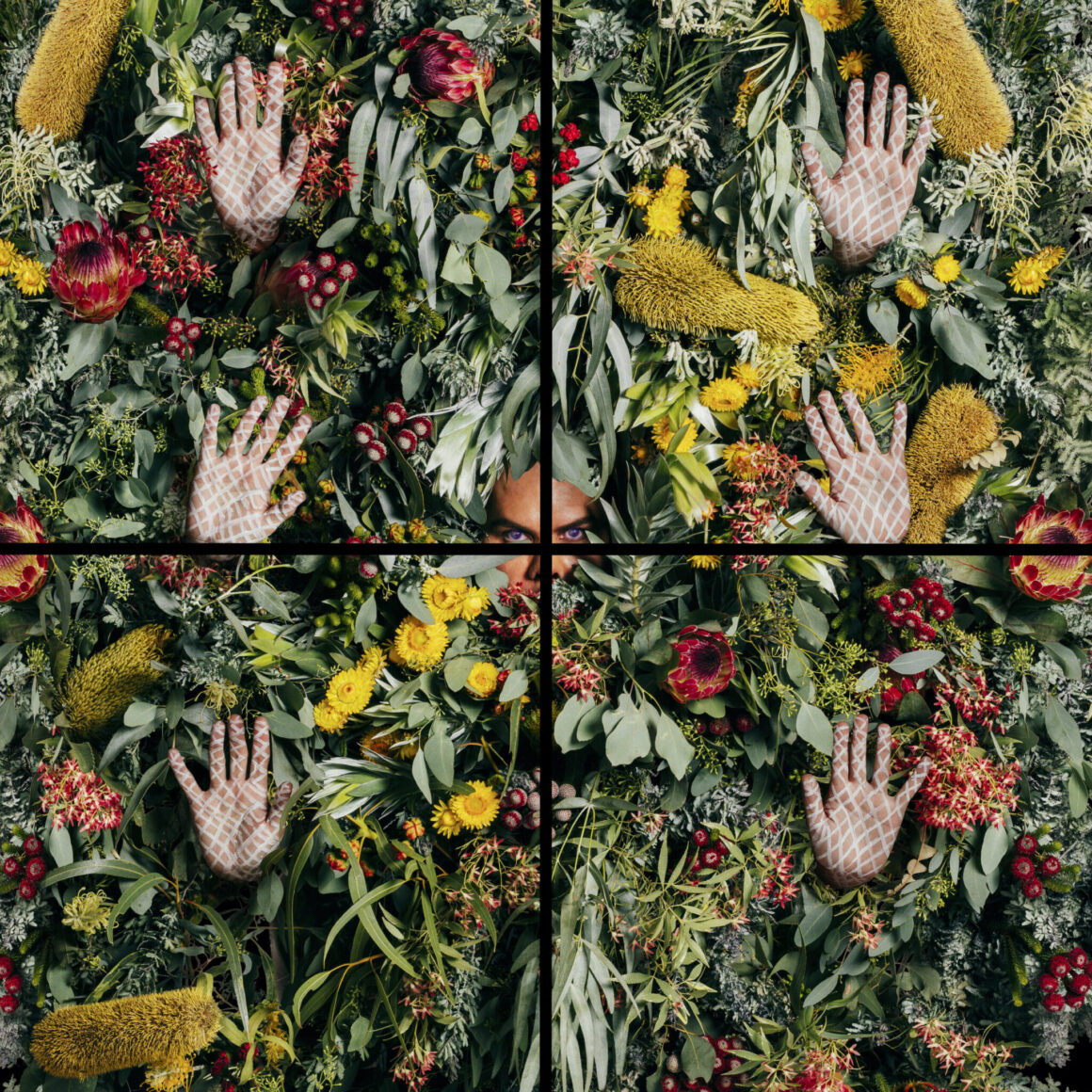 Dr Christian Thompson AO - Artist - at Michael Reid Gallery