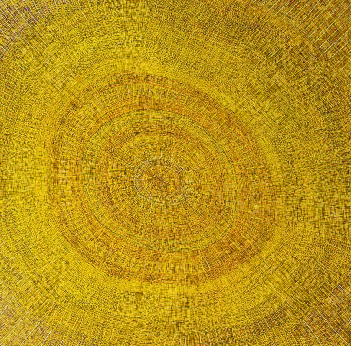Regina Pilawuk Wilson - Artist - at Michael Reid Gallery