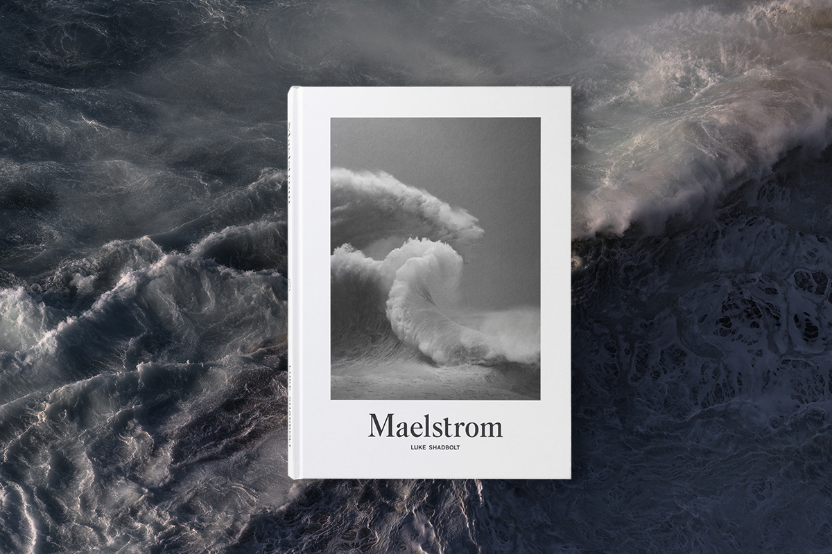 Luke Shadbolt - Artist - at Michael Reid Gallery