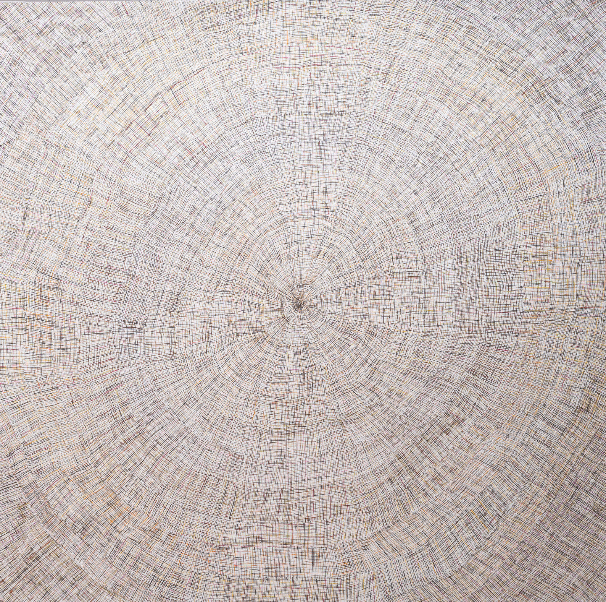 Regina Pilawuk Wilson - Artist - at Michael Reid Gallery