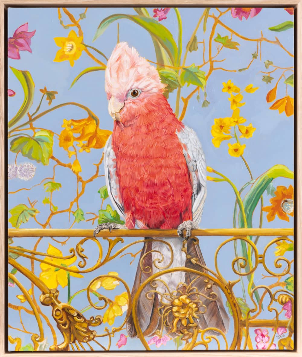 Fiona Smith: Limited Release | Michael Reid Murrurundi